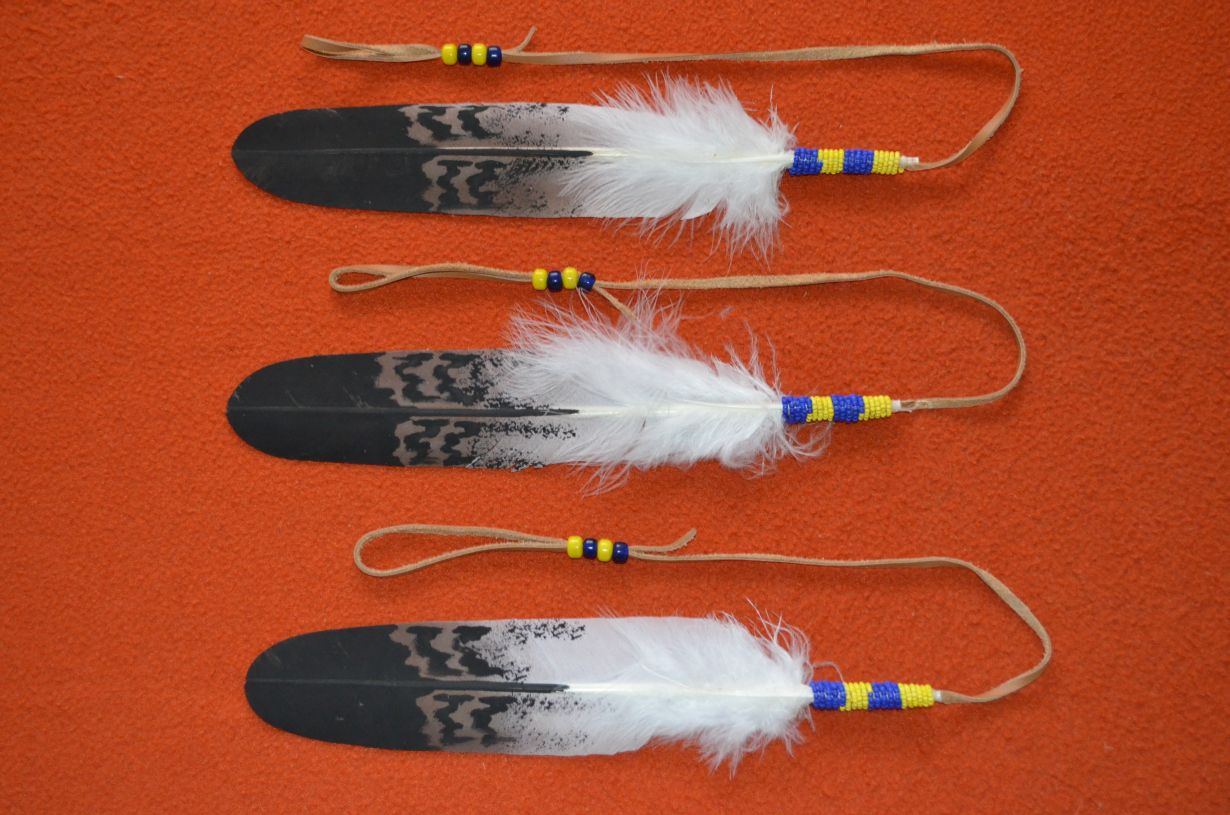 Arrow of Light Award Arrows, Plaques, and Accessories